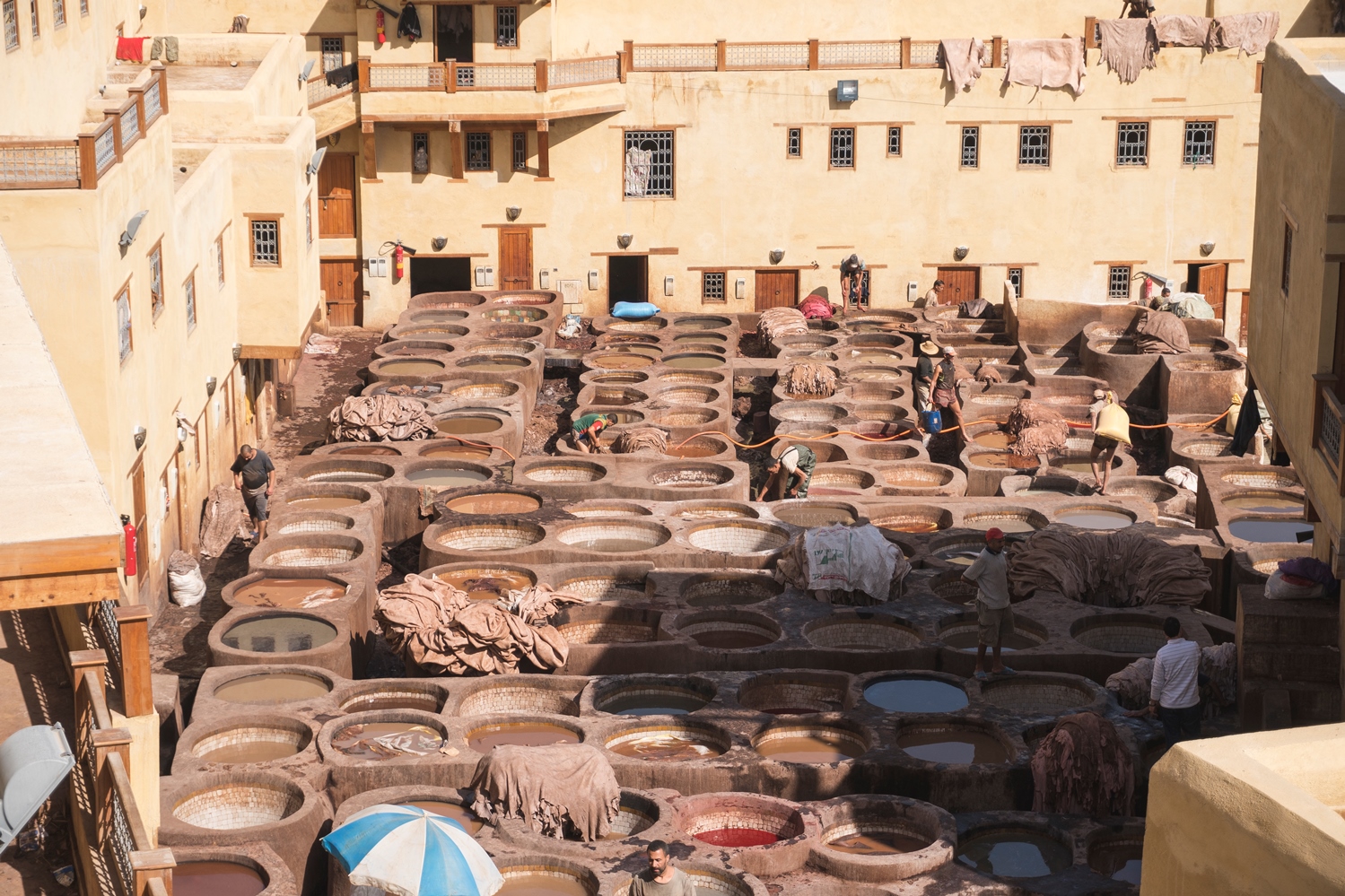 FEZ-2 » DWQ | Dream World Quest